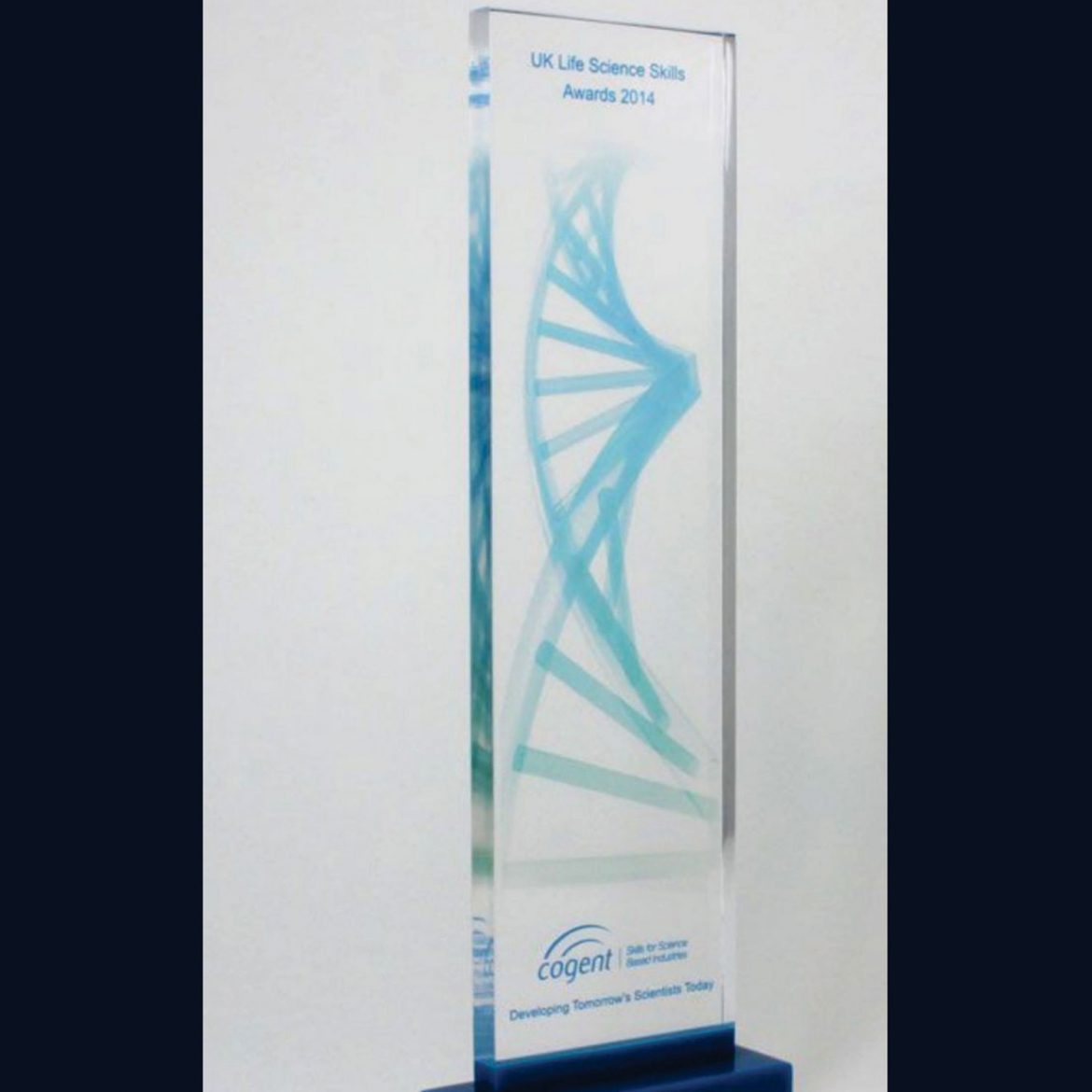 Elegant Leaf Styled Crystal Trophy - Trophy manufacture in mumbai