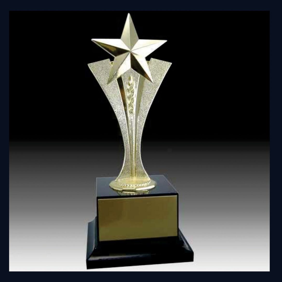 Silver Star Trophy Award With Black Base Metal Trophy - Trophy ...